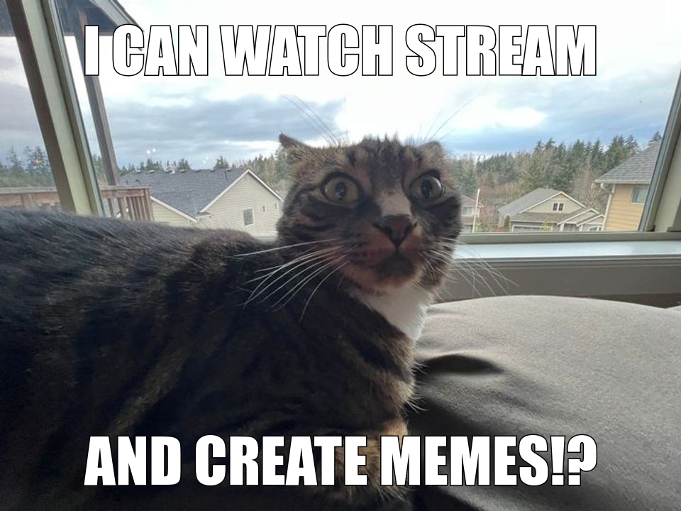 Stream Memes